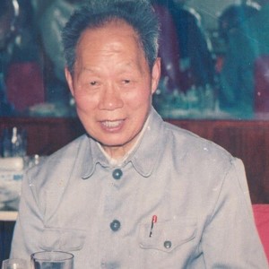 Bagua / Xingyi master Pei Xirong – Masters of the IMA